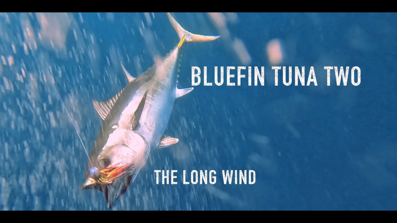 Bluefin Tuna New Zealand - The Long Wind with Josh James and friends - YouTube