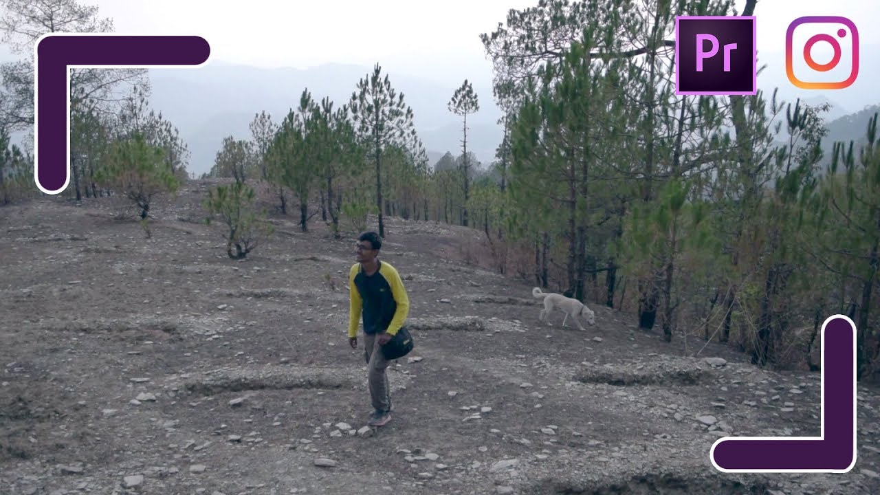 How to make a cinemagraph in Premiere Pro + Surprise tip - YouTube