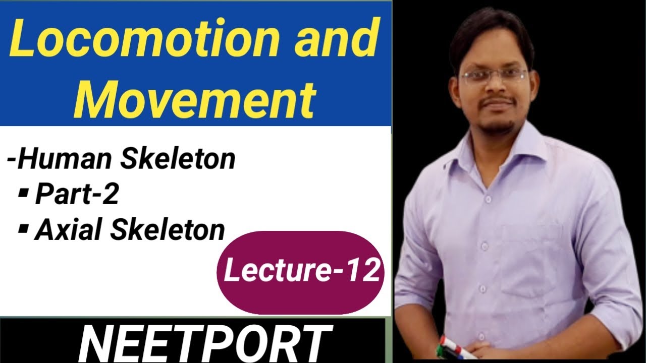 Locomotion and Movement- Axial Skeleton|Lecture-12| Neet Biology |AIIMS ...