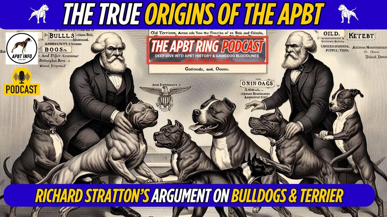 True Origins of the APBT - Richard Stratton’s Argument on BULLDOGS ...