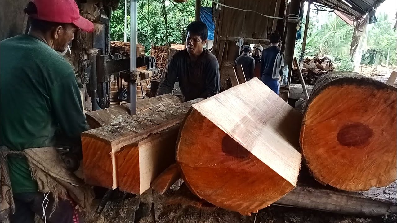 Menggergaji 2 batang kayu durian super - YouTube