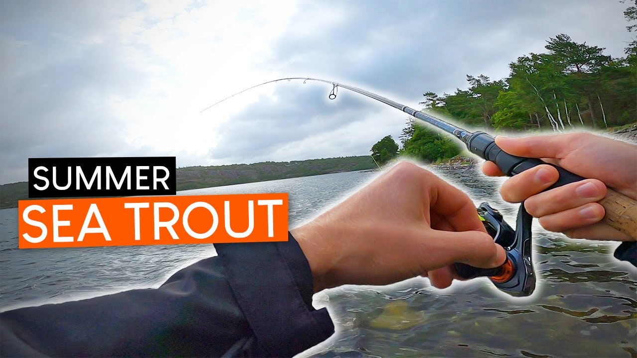 Summer spin fishing for SEA TROUT. Fish bites in WARM WATER! - YouTube