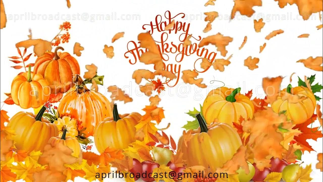 Thanksgiving Set 15 - Virtual Green Screen Background Loop - YouTube