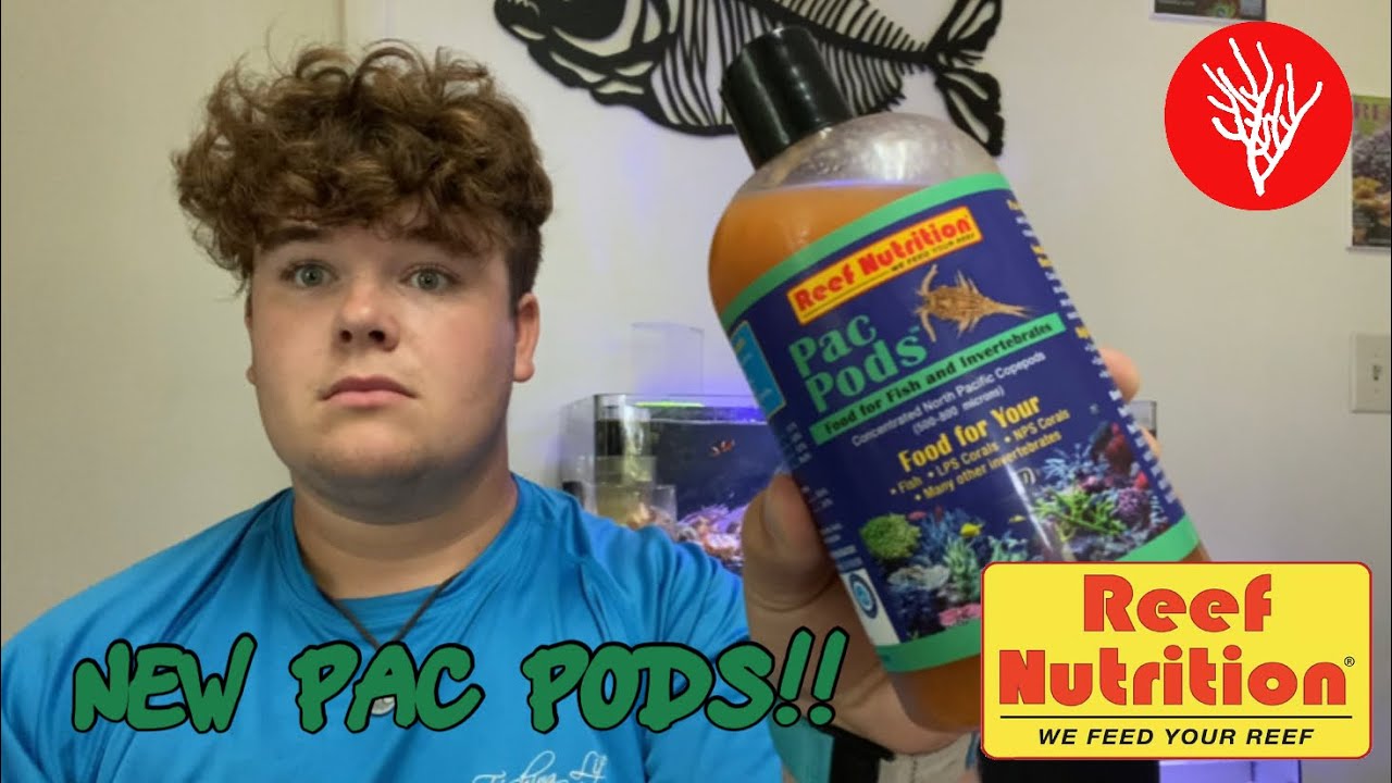 NEW** Reef Nutrition PAC Pods!! - YouTube