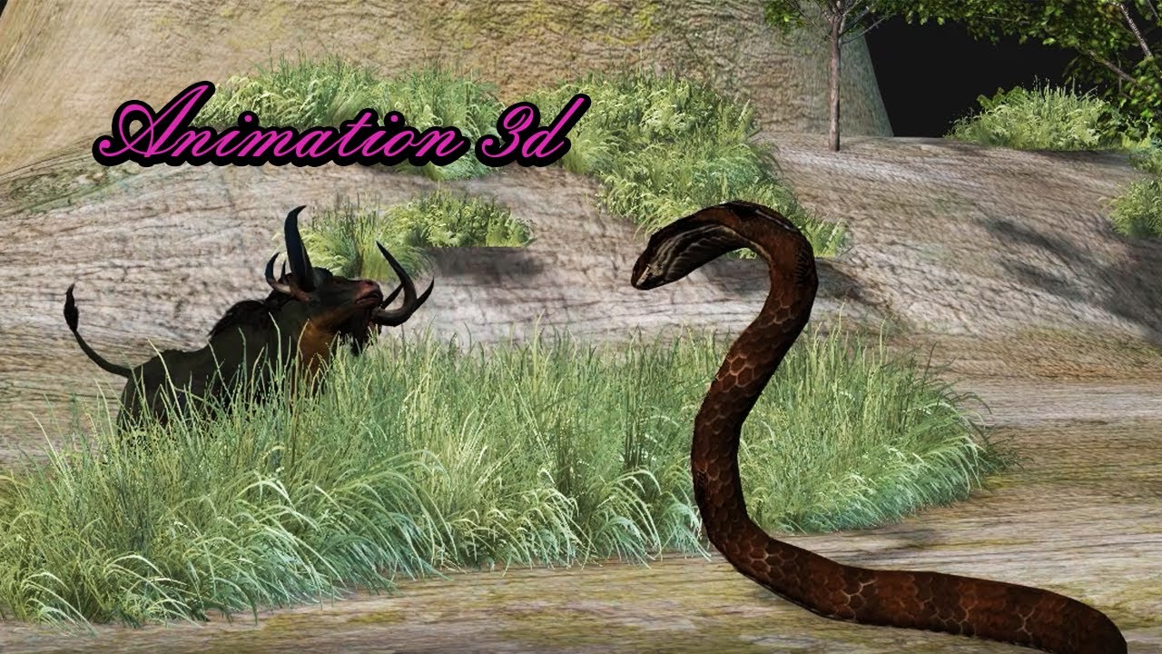 - Snake and wild buffalo movement - Animals 3d iclone - - YouTube