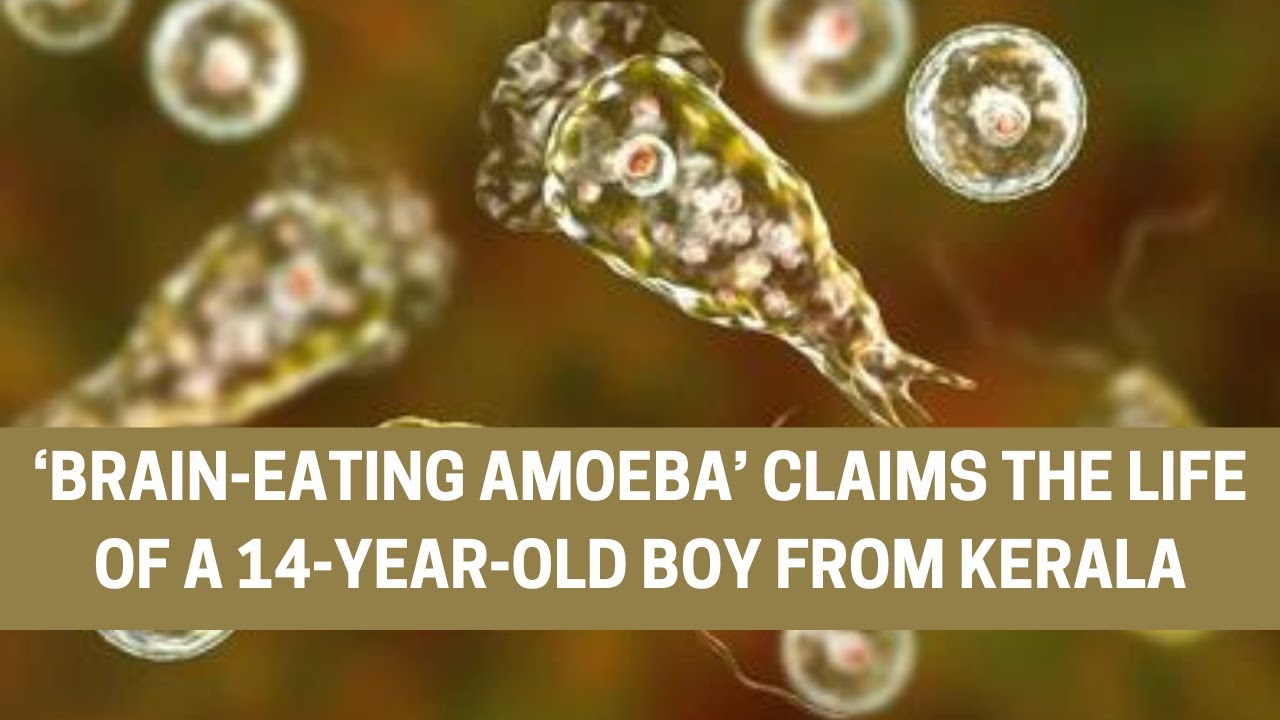 Kerala's 'Brain-eating Amoeba' case || A 14-year-old boy's death - YouTube