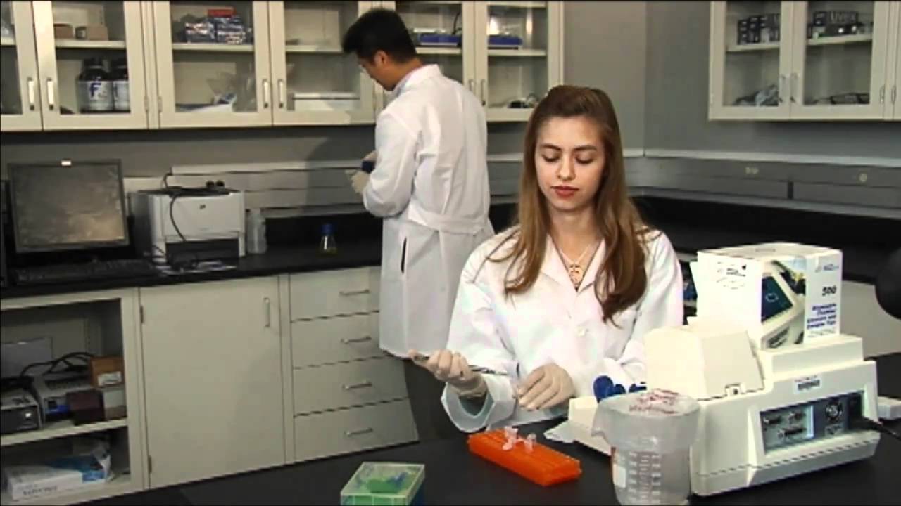 BioNetwork Capstone Center - YouTube