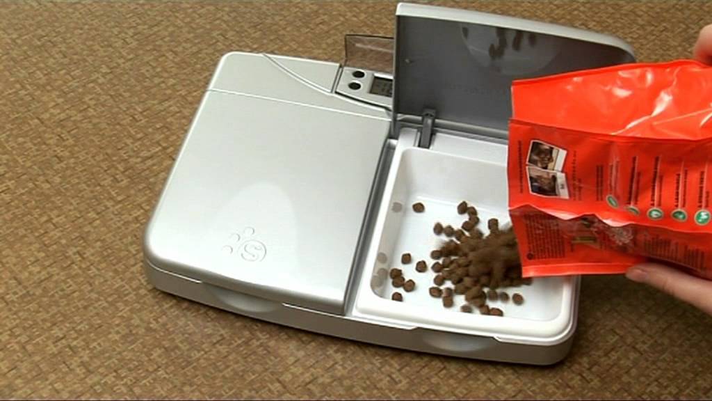 PetSafe® Distributeur de nourriture petPod™ - YouTube