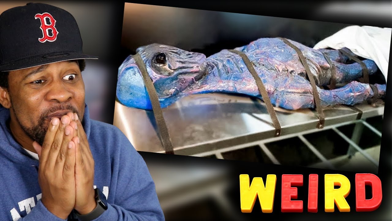 What They Discovered In Egypt Shocked the Whole World - YouTube