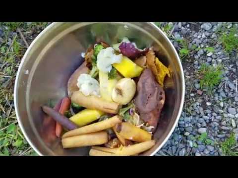 PSYCHIC CHICKEN COOKING INTRODUCTION - YouTube