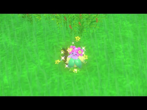 Shiny Flower Pokemon