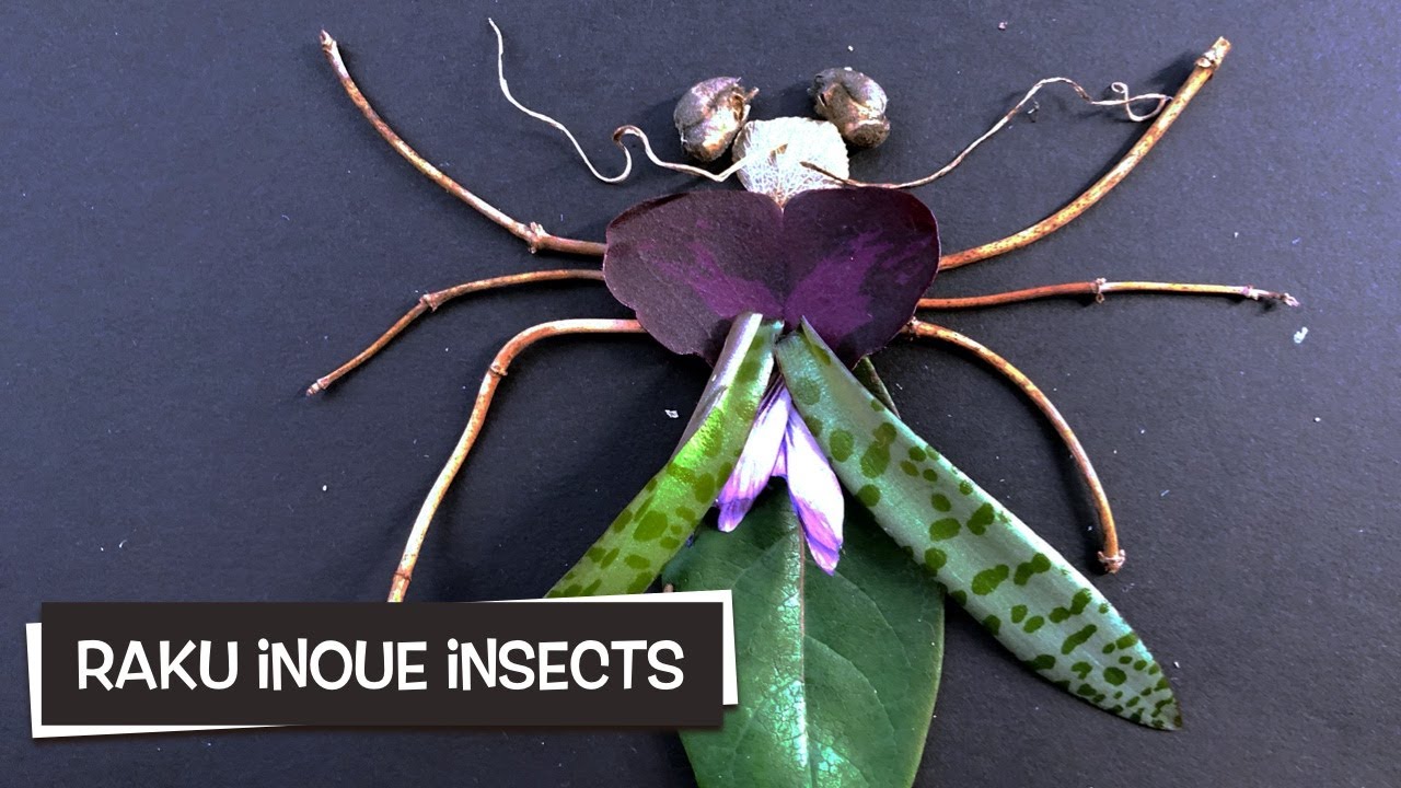 Raku Inoue Insects - YouTube