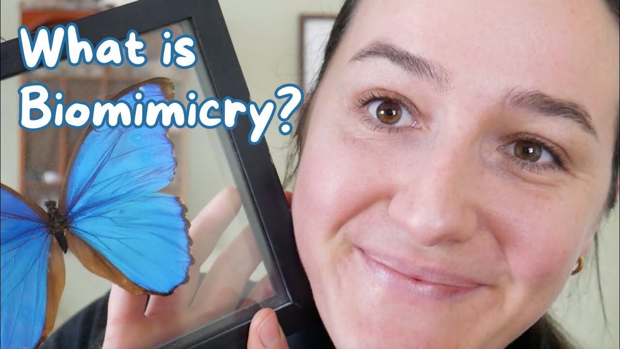 What is Biomimicry? Bite-Size Biomimicry Part 1 (LEARNING FROM NATURE ...