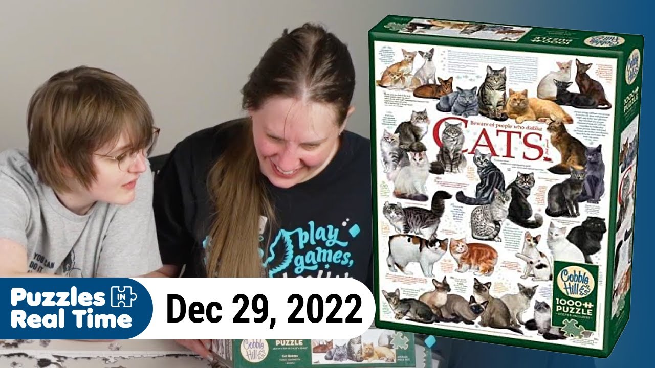 🧩 "Beware of People Who Dislike CATS" - Part 2 | Puzzles in Real Time ...
