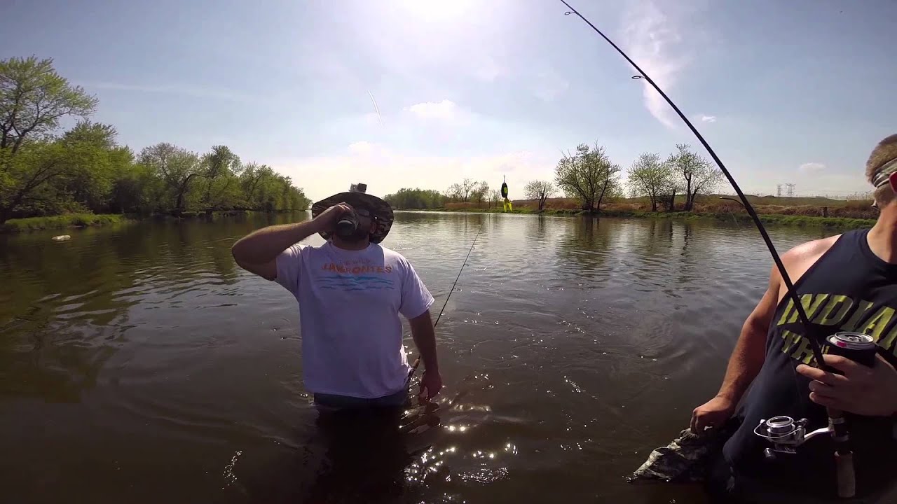 Shotgun Snapping Turtle - The Wild Jabronies - - YouTube
