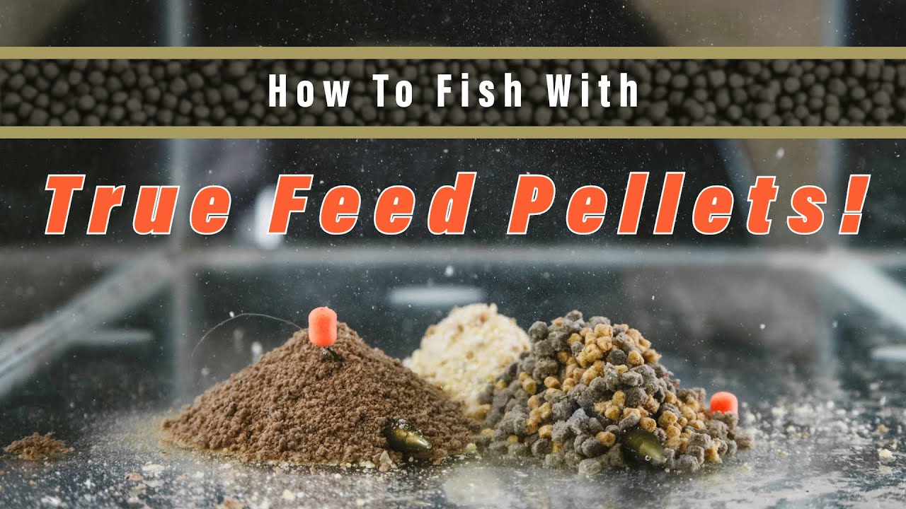 The In’s and out’s of fishing with True Feed Pellets - YouTube