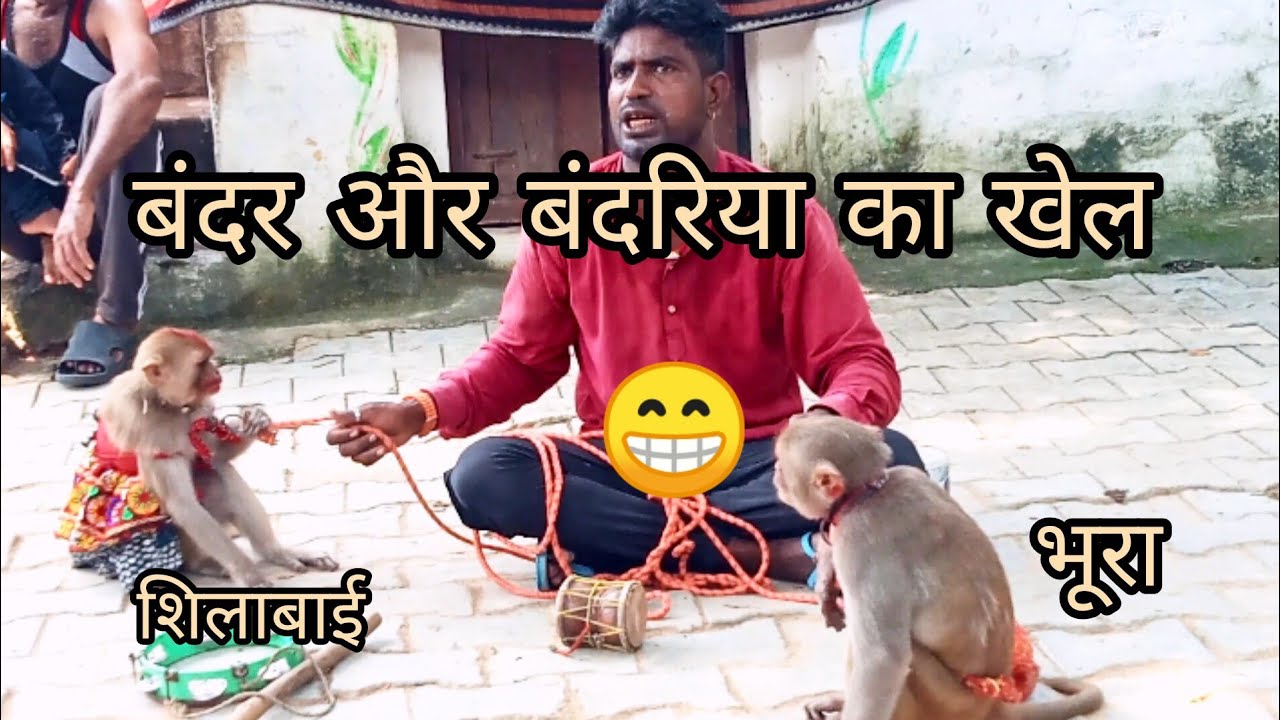 jhansi Bandar Bandariya Ka Khel || What an amazing monkey! Comedy Video ...