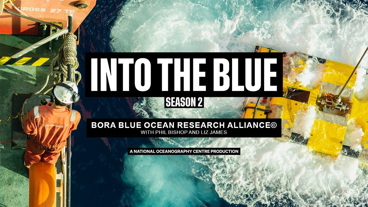 What is the BORA Blue Ocean Research Alliance®? | Into the Blue Podcast ...