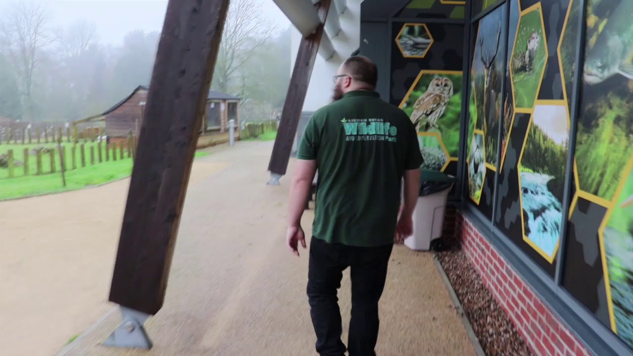 Behind the Scenes Tour of the Askham Bryan College Wildlife and ...