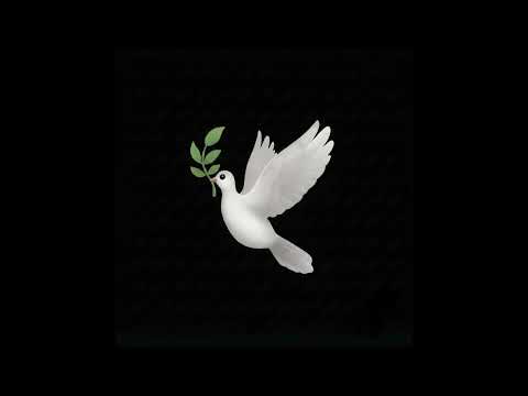 Chrisreal FT Gülçin - KAYIP