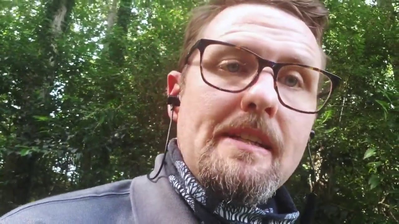 Why Are The Leaves Falling Off My Crabapple Tree YouTube why-are-the-leaves-falling-off-my-crabapple-tree-youtube