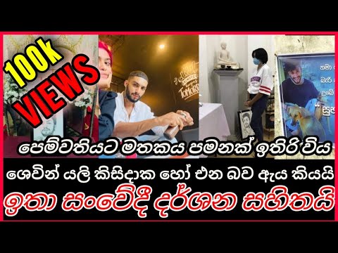 shevin chithalka | චිතල්කගේ අවසන් කැමැත්ත යාලුවන් ඉටු කරයි.සංවේදී ...