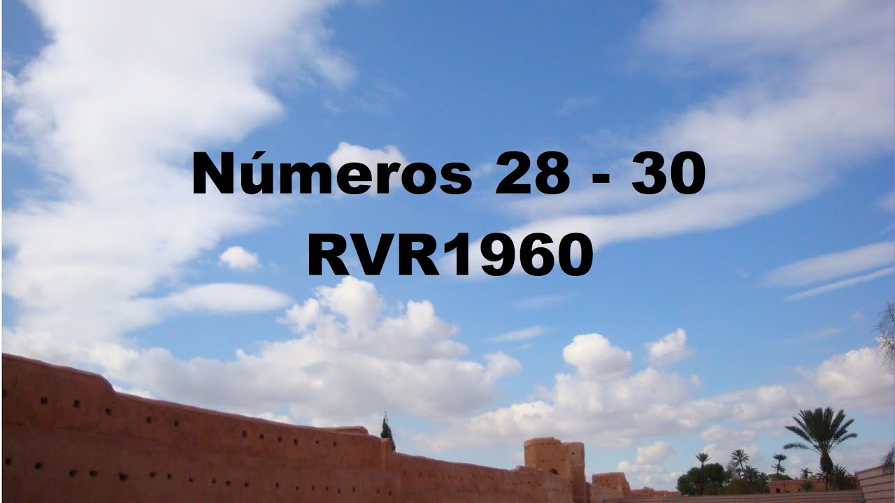 Numeros 28 - 30 - YouTube