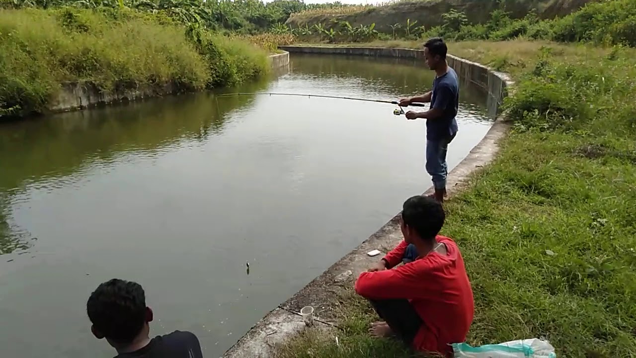 Mancing mania - YouTube