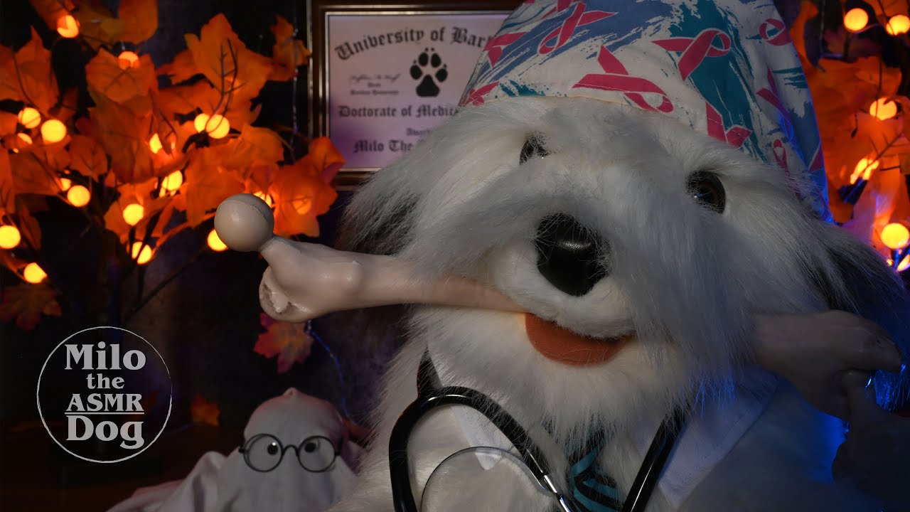ASMR Doctor Roleplay - Dogtor Milo Bone Removal Surgery - YouTube