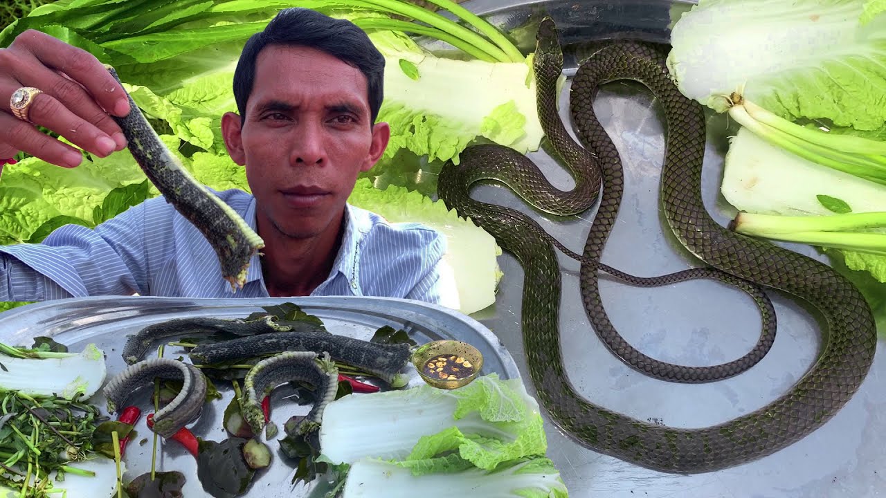 ហូបស្ងោរជ្រក់ពស់ជាតិណាស់ | Snake with Pickled Oranges Eating with ...