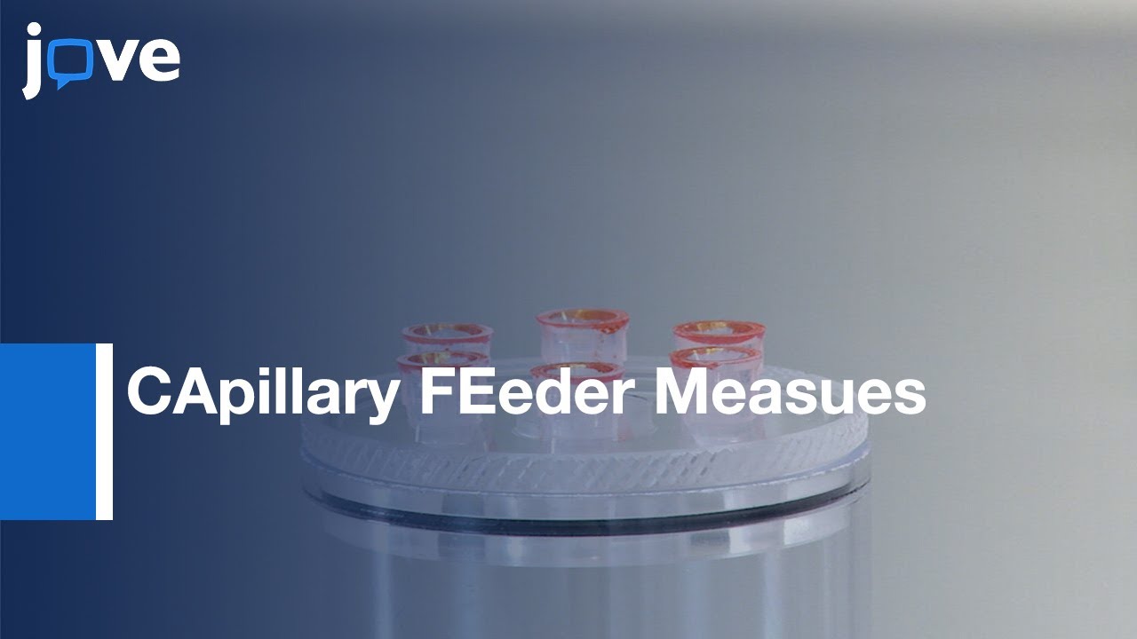 CApillary FEeder Measues Food Intake | Protocol Preview - YouTube