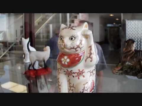 America's First Cat Museum Opens in Alliance, Ohio - YouTube