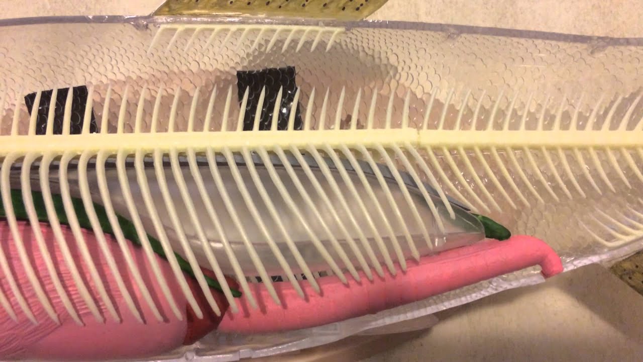 Skilcraft Visible Trout completed and painted by Peter Park - YouTube