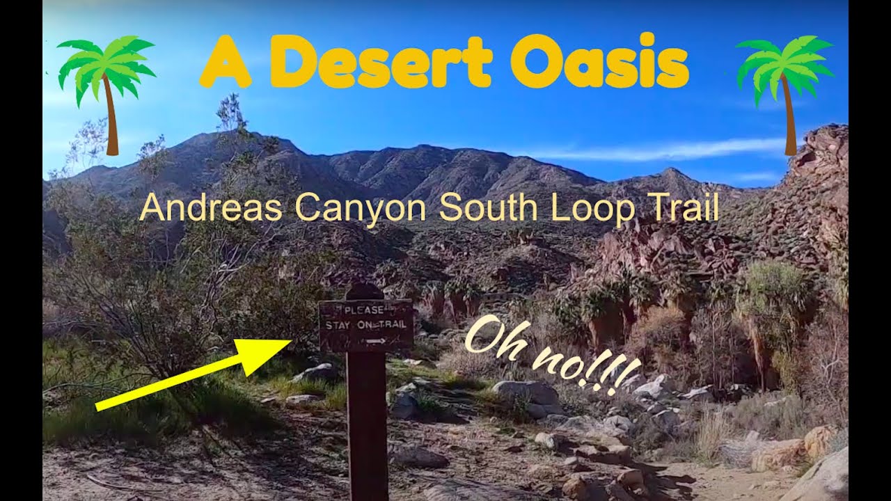 Hiking the short loop of Andreas Canyon South Loop Trail #palmsprings - YouTube