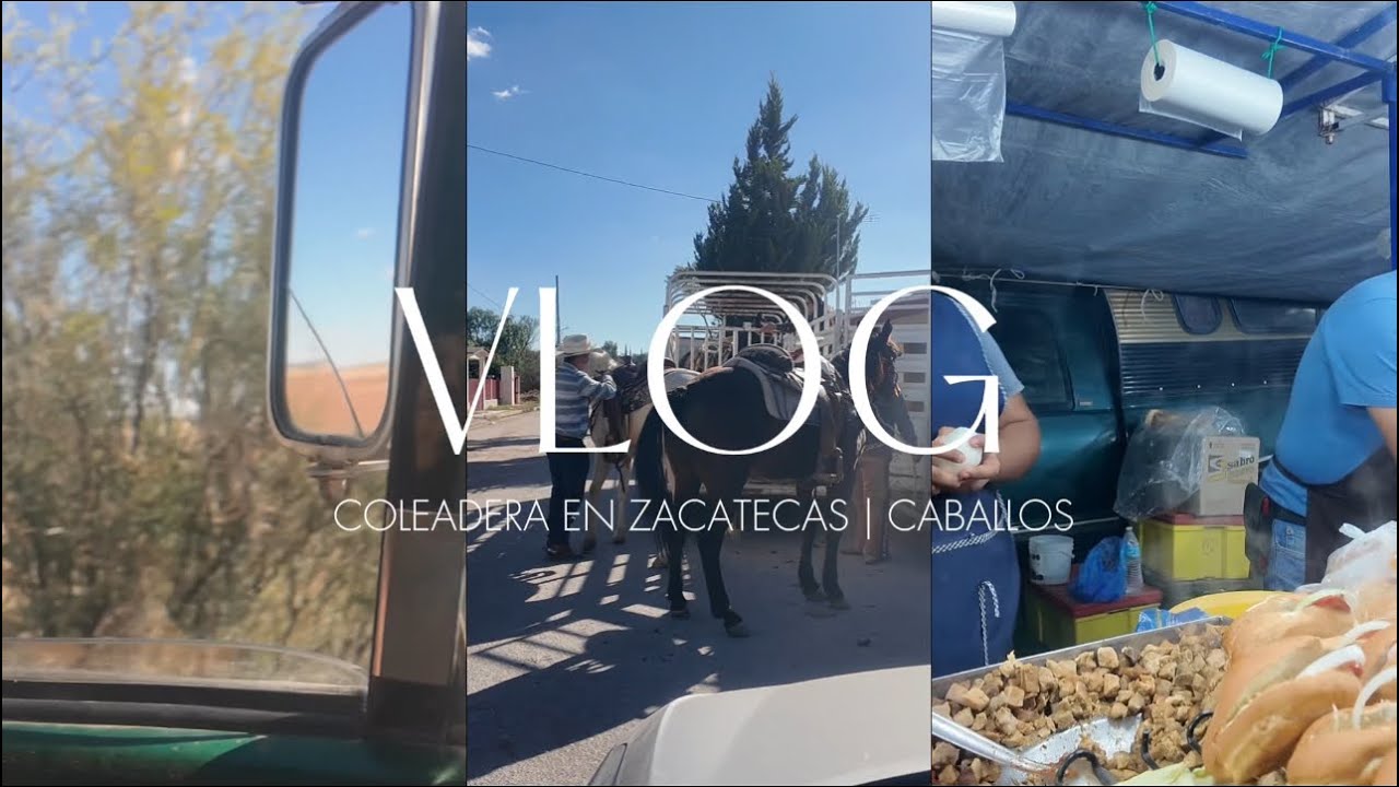VLOGMAS DIA 17 | COLEADERA EN ZACATECAS - YouTube