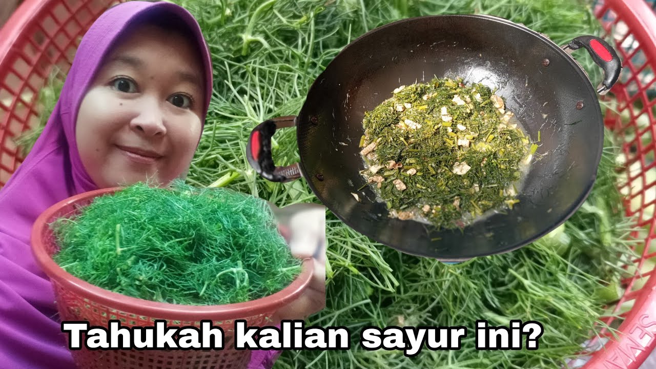 Masak sayur adas tempe bosok👏 - YouTube