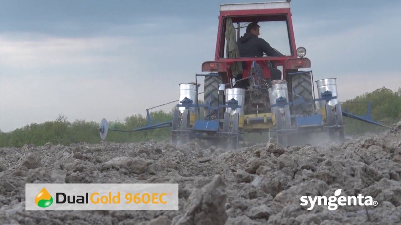Syngenta herbicidi – Dual gold 960 EC® 443 - YouTube
