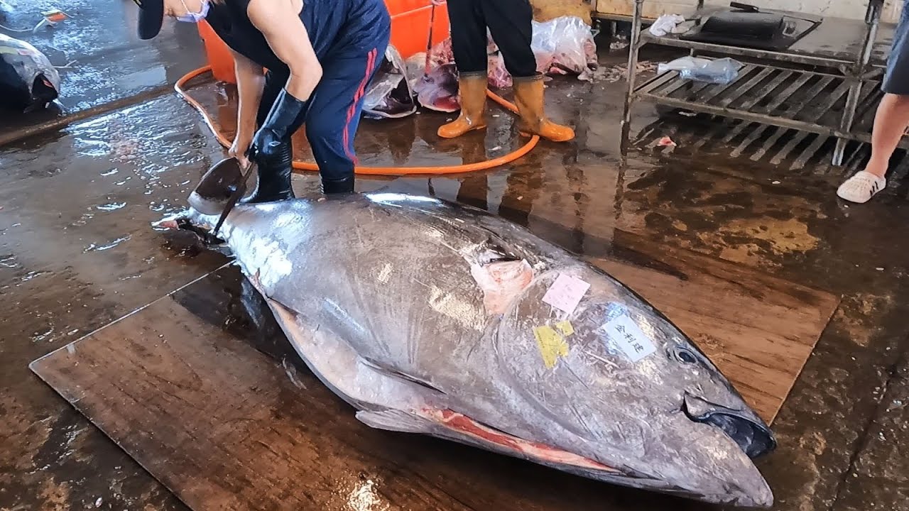 Mind-Blowing 900-Pound Giant Bluefin Tuna Cutting Skills! 🐟🔪 Unveiling ...