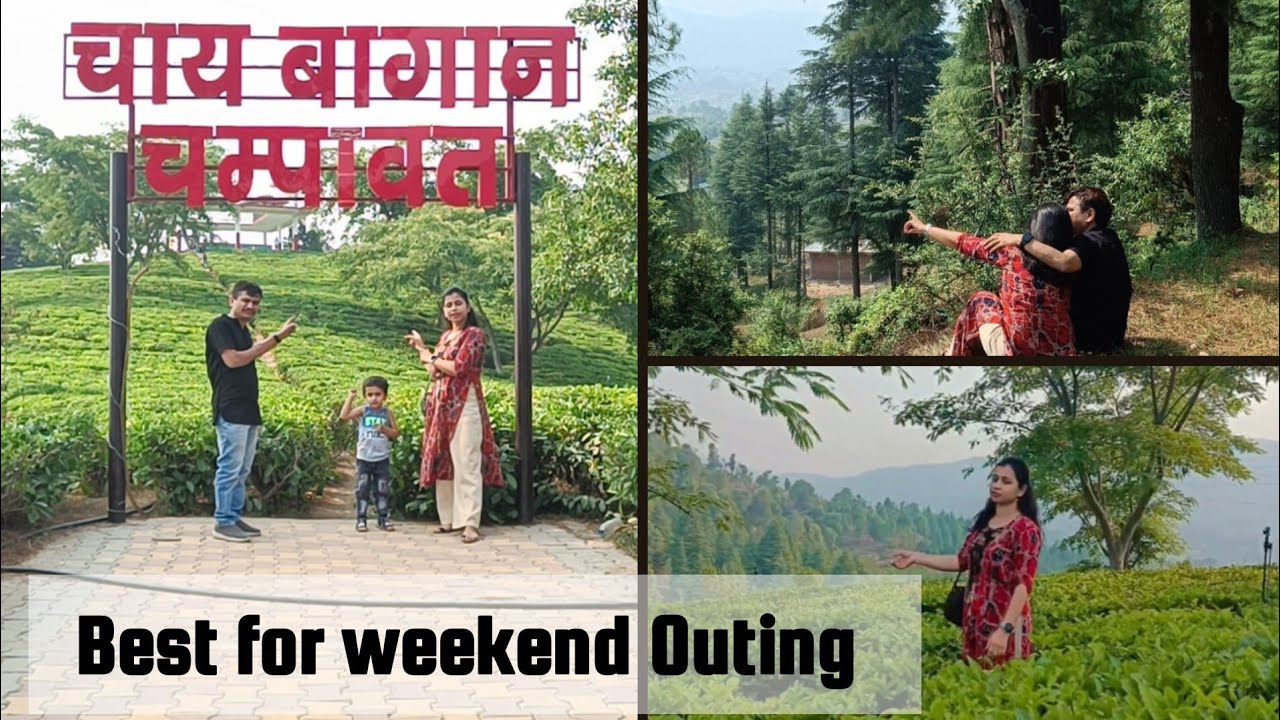 Champwat Hill Staion Visit Place | Tea Garden | Devdaar Trek | Tourist ...