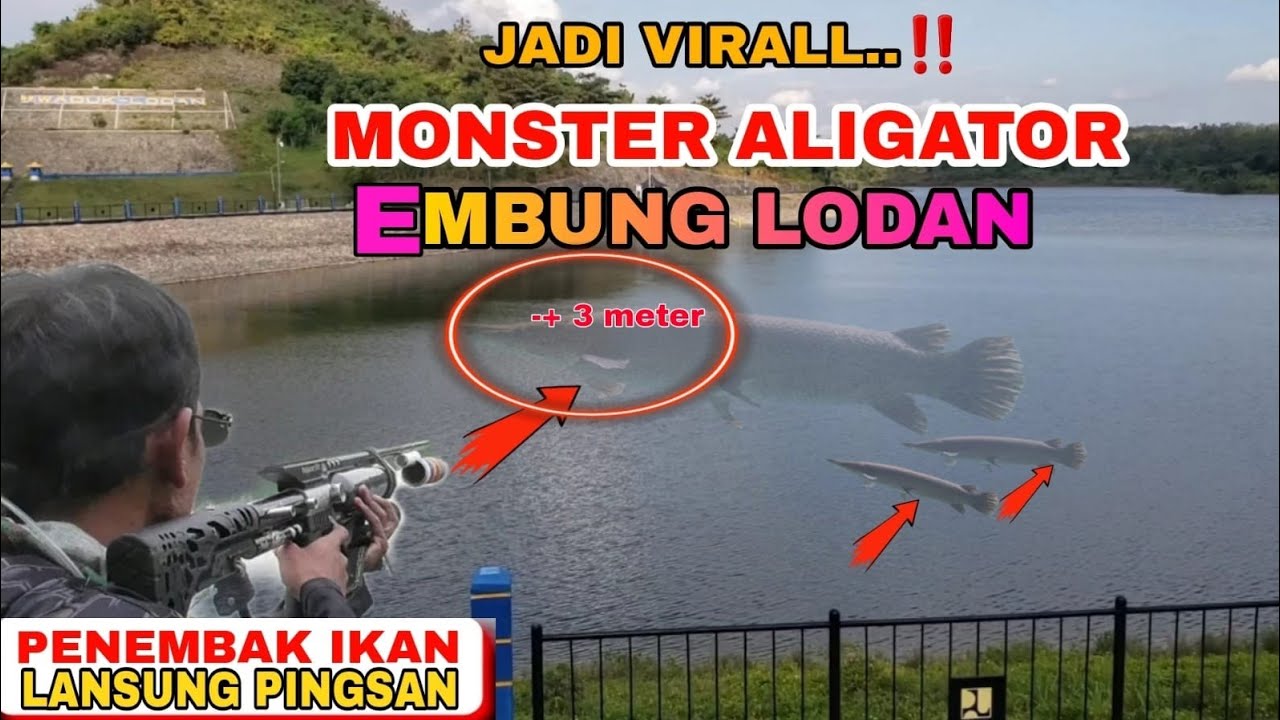 🔴virall.‼️penembak ikan pingsan di lokasi ketika melihat monster ...