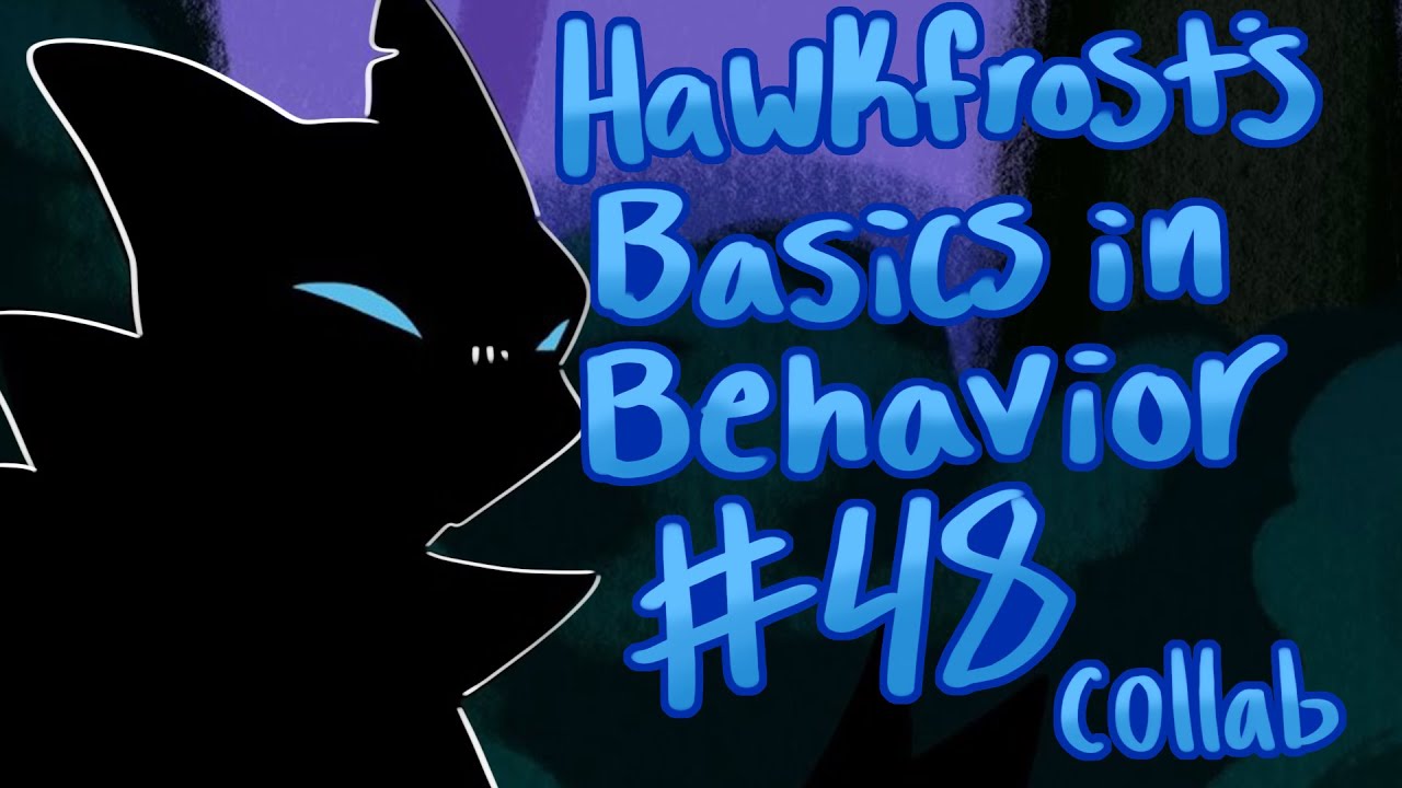 hawkfrosts basics in behavior MAP part 48 ||collab|| - YouTube