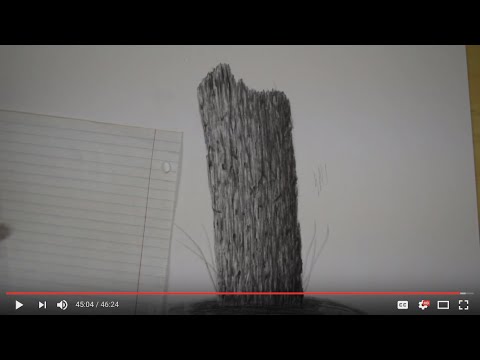 How to Draw a Wooden Fence Post (or tree bark) - YouTube
