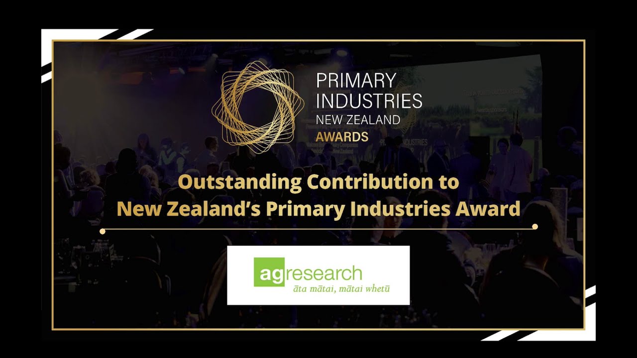 PINZ Awards 2023 - Outstanding Contribution Award - YouTube