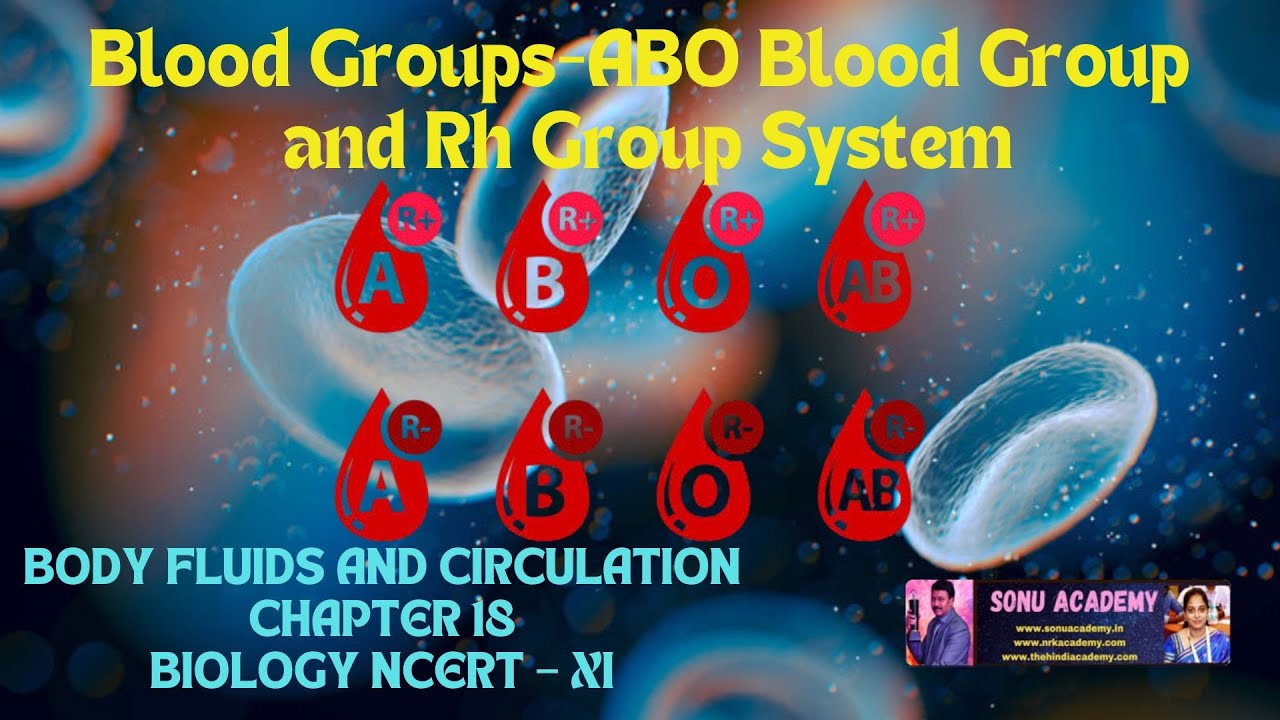 Blood Groups ABO Blood Group and Rh Group System|| Biology || CBSE # ...
