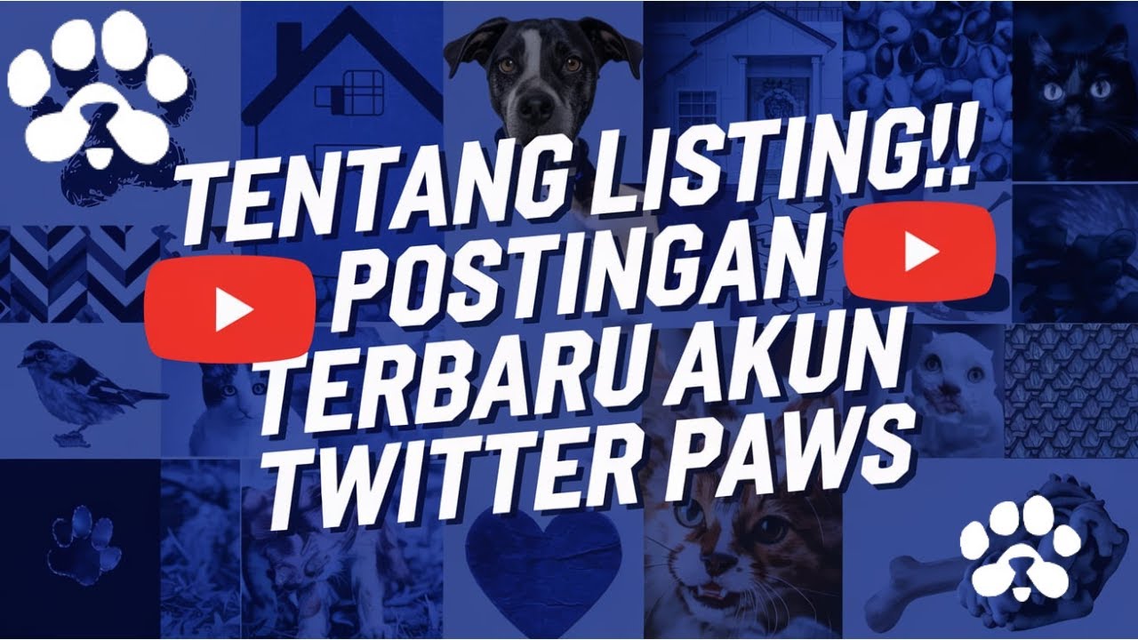 TENTANG PAWS LISTING POSTINGAN TERBARU AKUN TWITTER PAWS - YouTube
