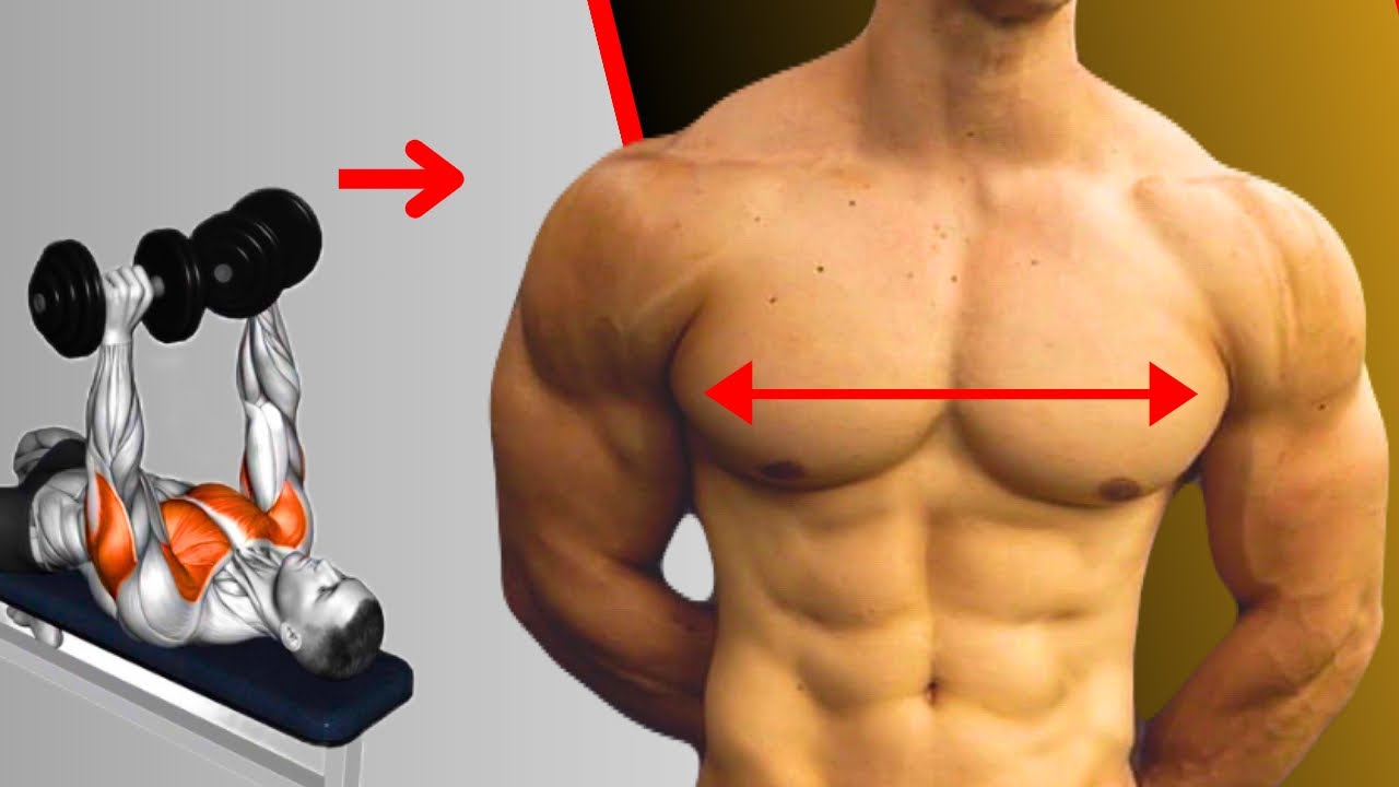 Los 11 mejores ejercicios de pechos más importantes - YouTube