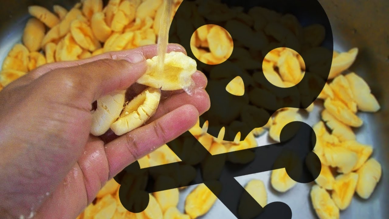 10 Strange Breakfasts of the World - YouTube