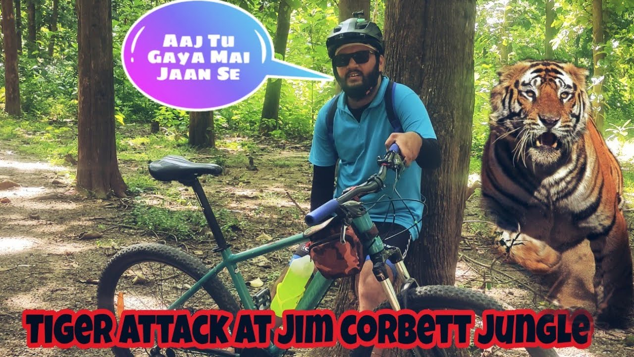 Mohan Maneater Tiger Attack Cyclist 🐯 | Cycling Ride in Man Eater Tiger ...
