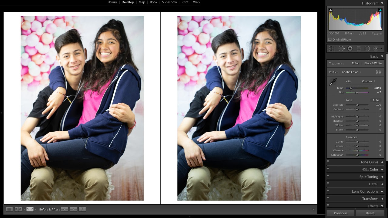 Working in the Develop Tab in Adobe Lightroom Classic CC - YouTube