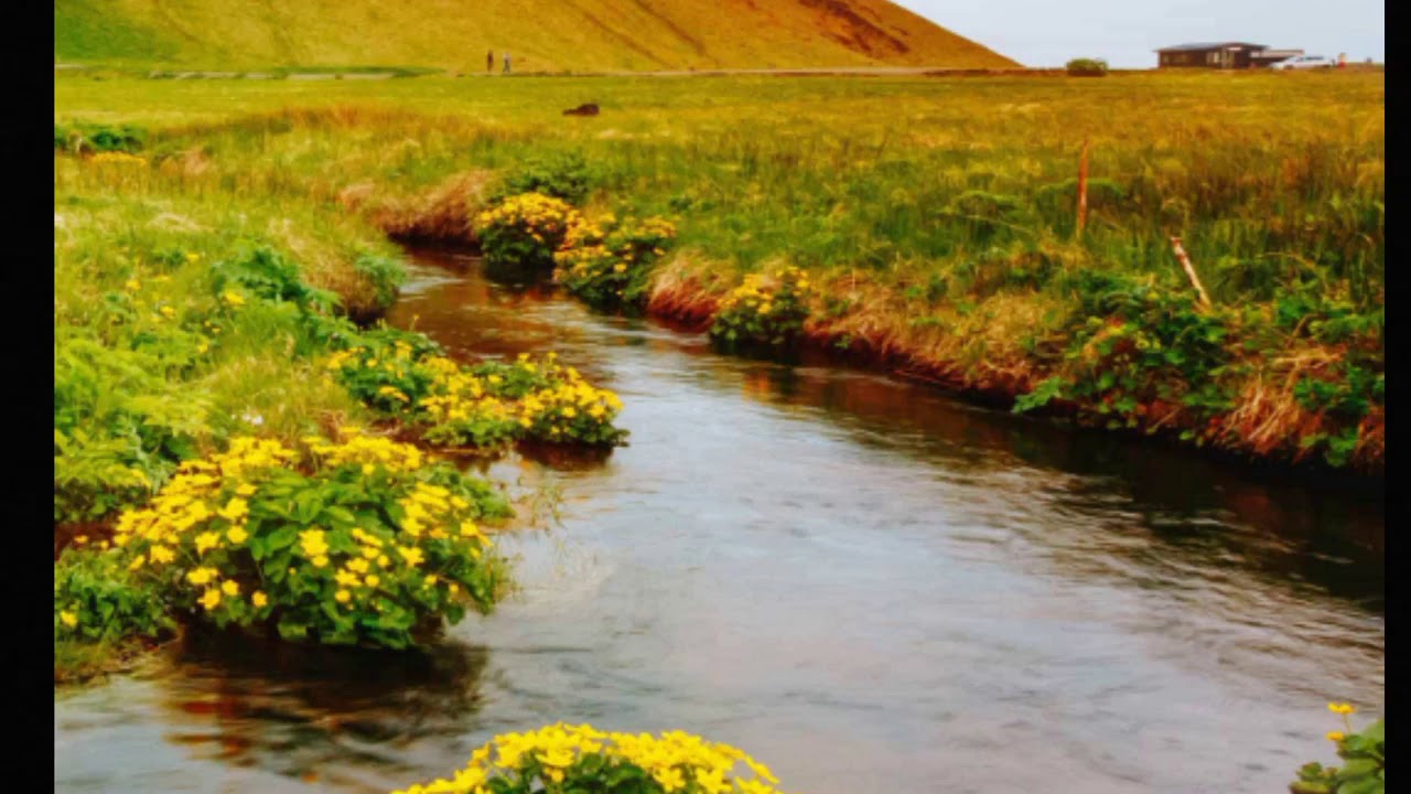 Callate y vete a tu cuarto.. (Cover)... Alex Carpio - YouTube